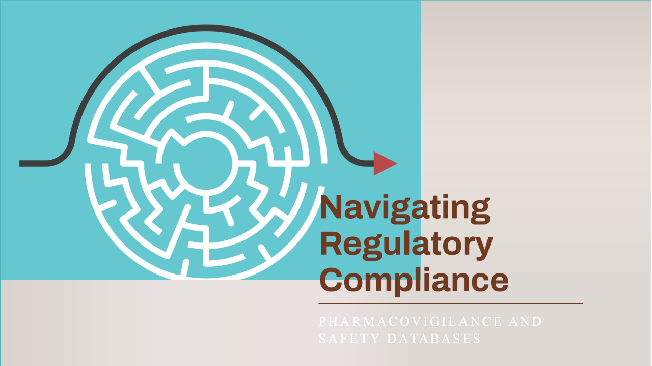 Ensuring Compliance: Navigating Drug Safety Database
