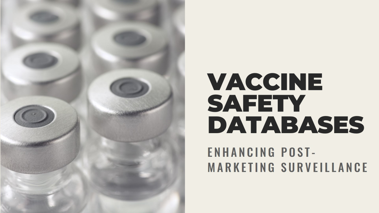 How Vaccine Safety Databases Enhance Post Marketing Surveillance