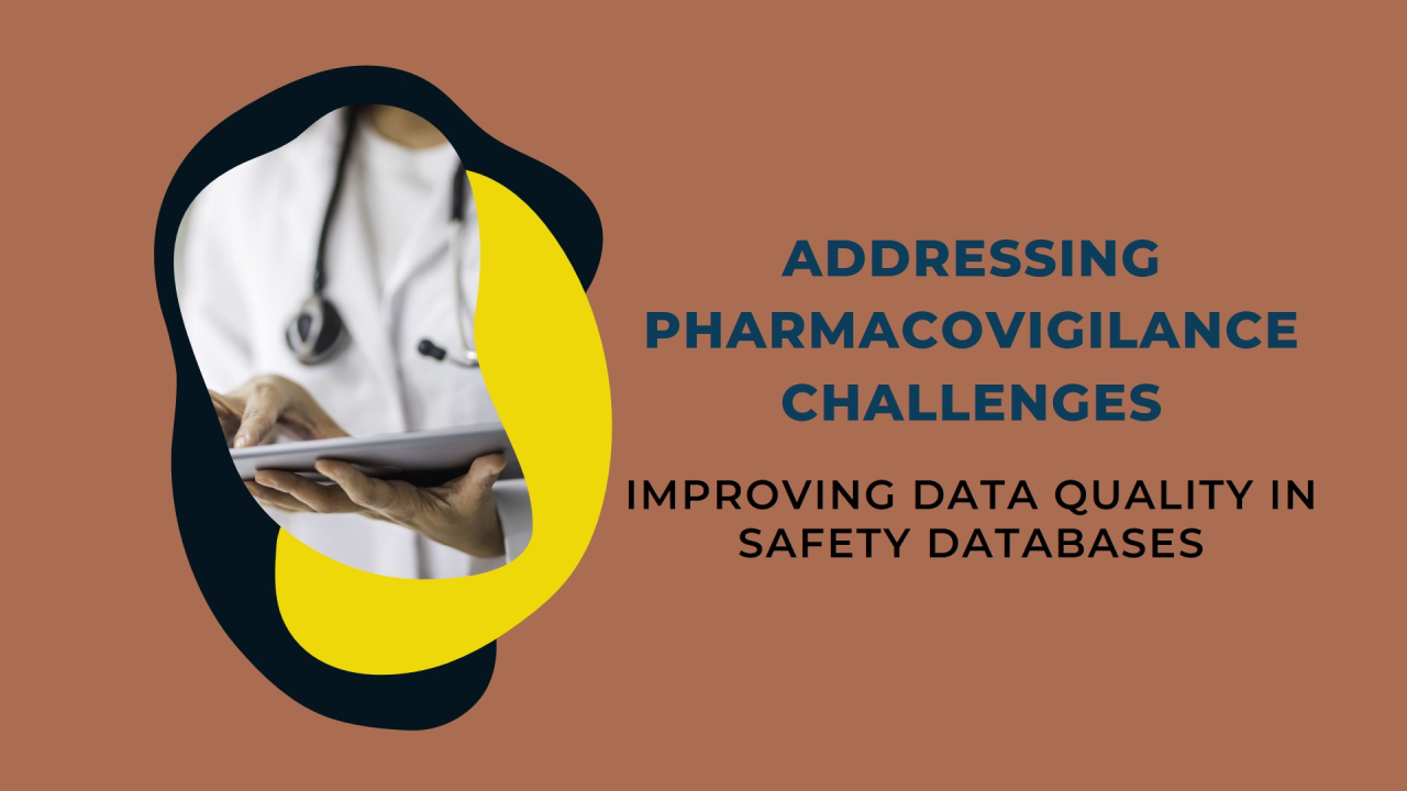 Strategies for Ensuring Data Quality in Drug Safety Database