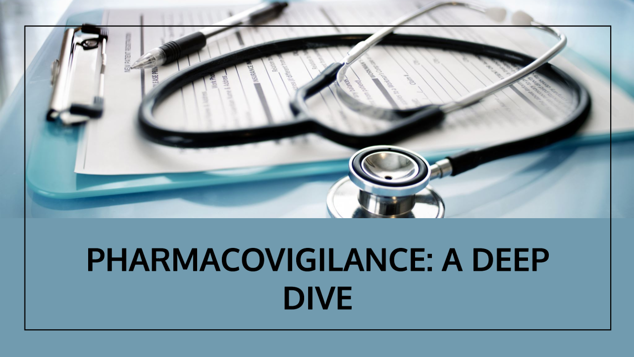 'Unveiling Drug Safety Database: A Deep Dive into Methodologies'