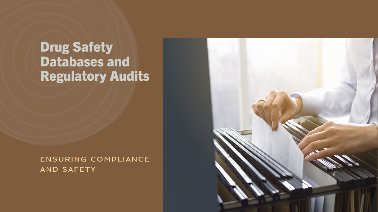 'Enhancing Regulatory Audits with Drug Safety Database'