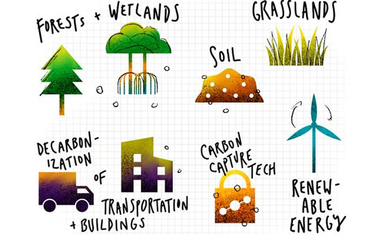 Net Zero Events: How to Offset Your Emissions and Make Them Sustainable