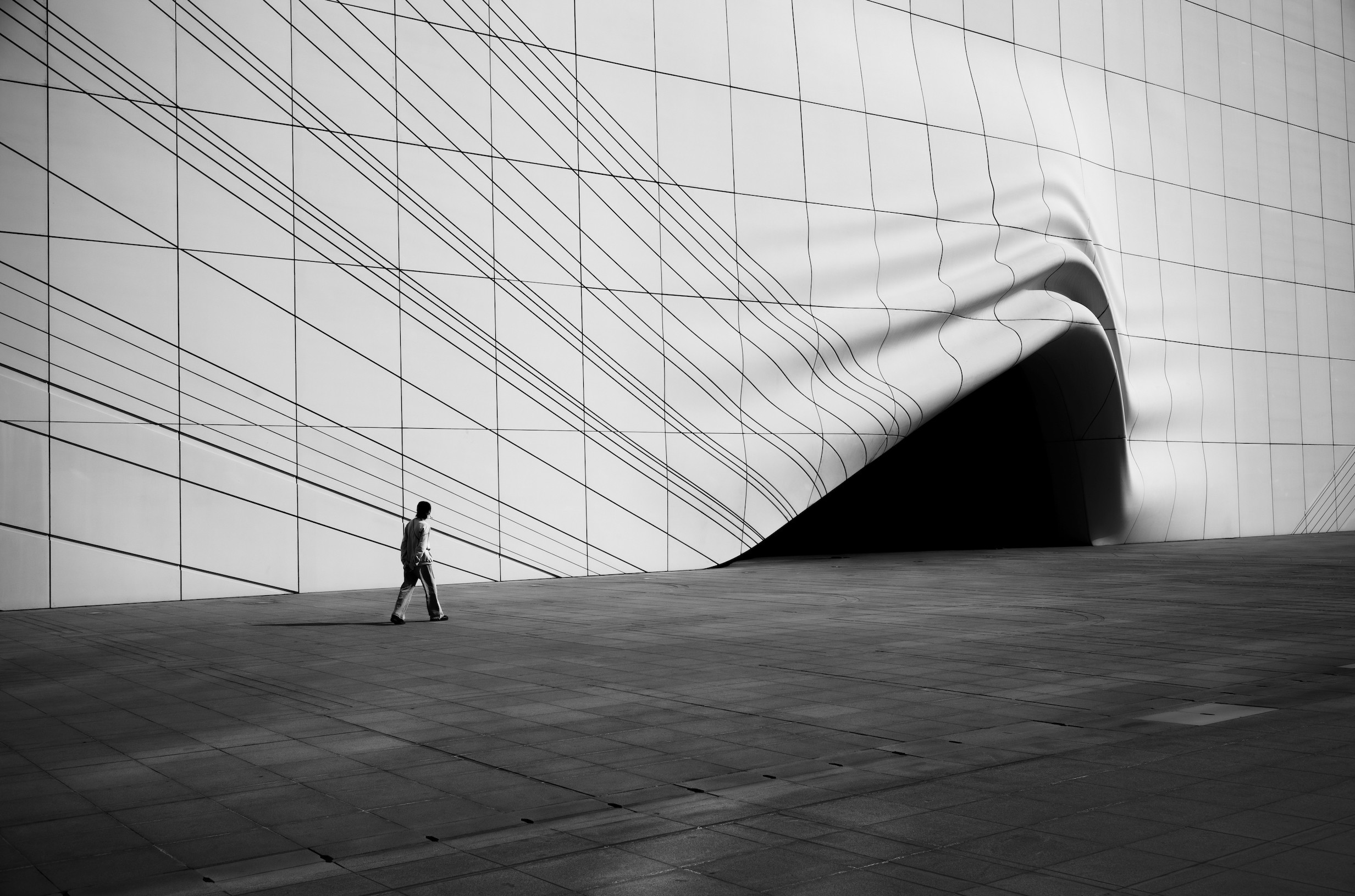 M.A.D.S. ART GALLERY | artwork. | Encroach