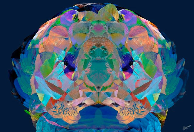 M.A.D.S. ART GALLERY | artwork. | Amygdala’s birds
