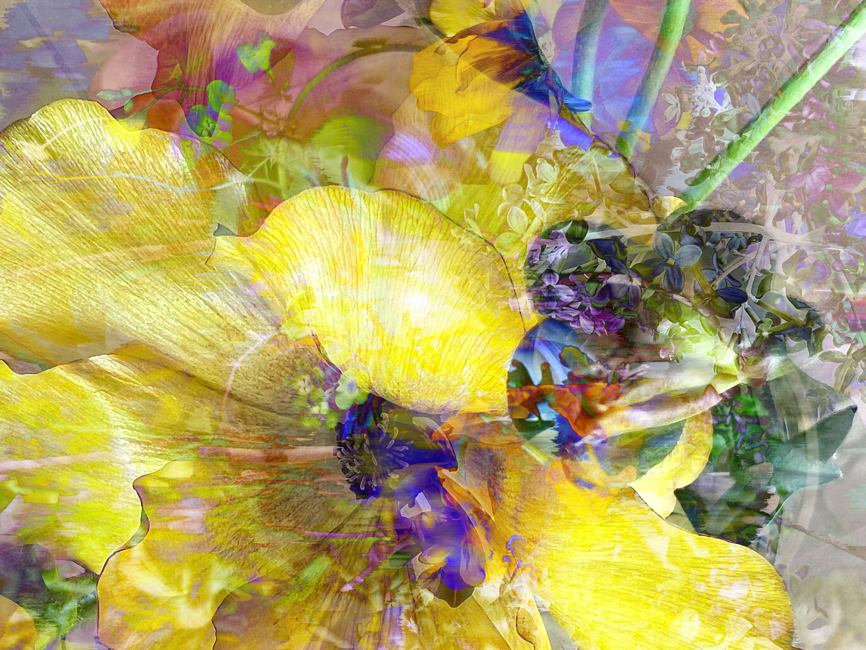 M.A.D.S. ART GALLERY | artwork. | Honey Notes