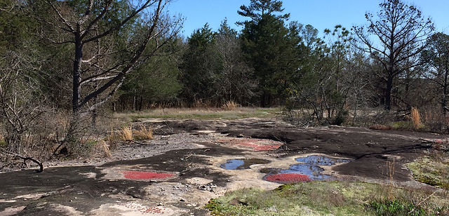 ewen conservation area