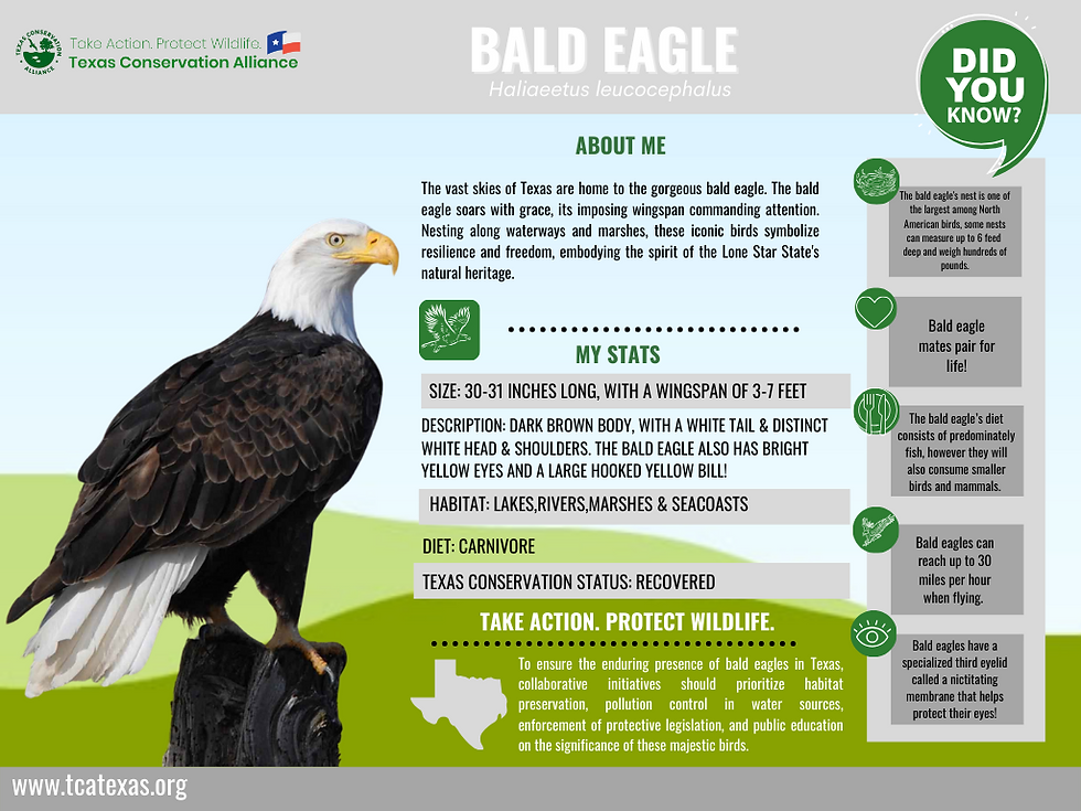 Shop | Texas Conservation Alliance