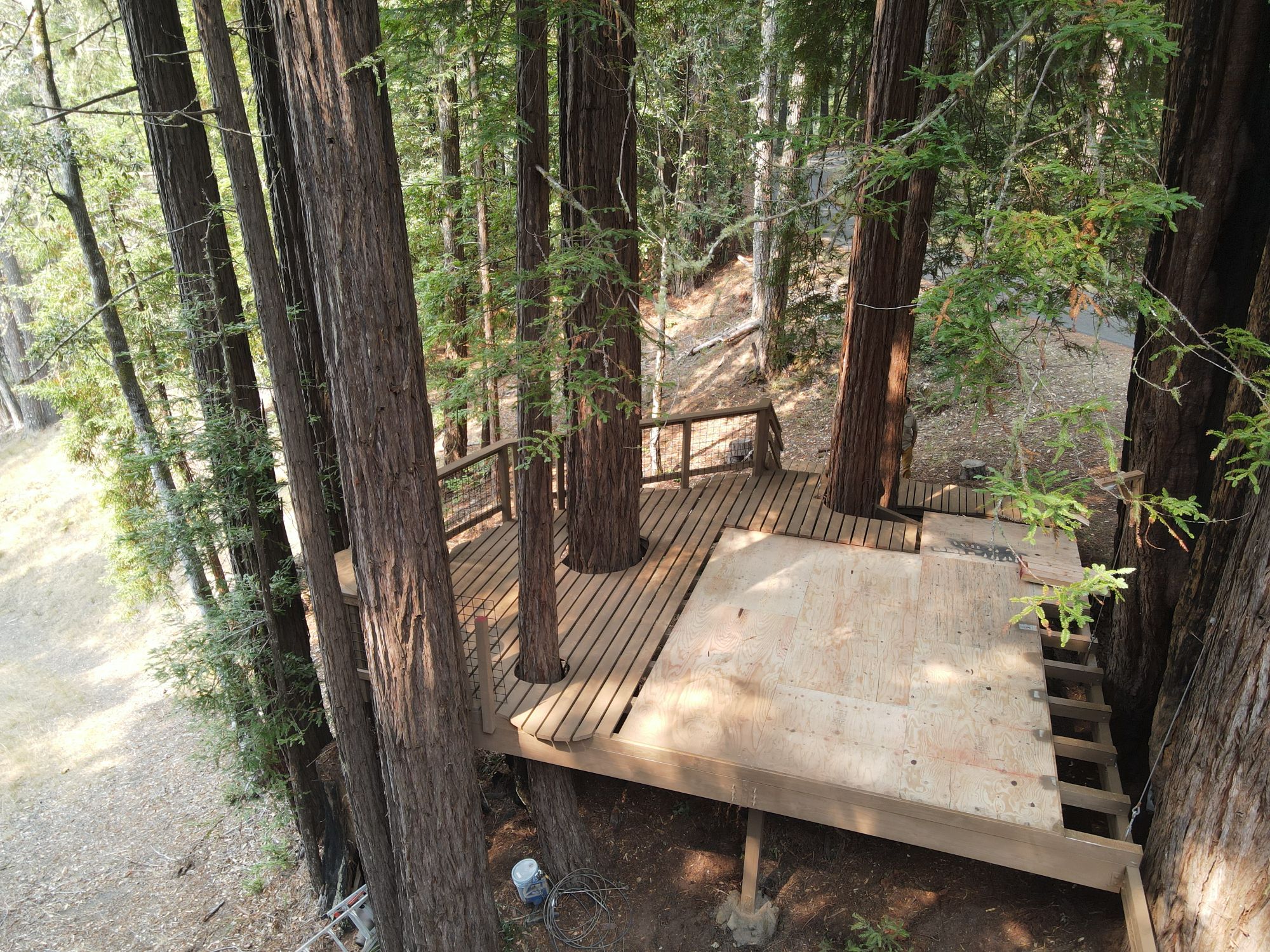 Treehouses: | Custom Treehouse Builders in california