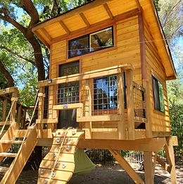 backyard treehouse kit