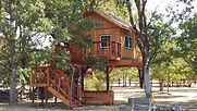 Treehouses: | Custom Treehouse Builders in San Francisco bay area