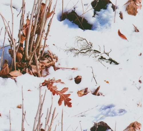 Camo Neige | hydrodipfactory