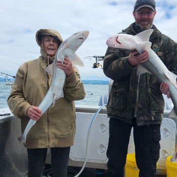 Duffs Fishing Charters & Marine Services | Charter business in Corner ...