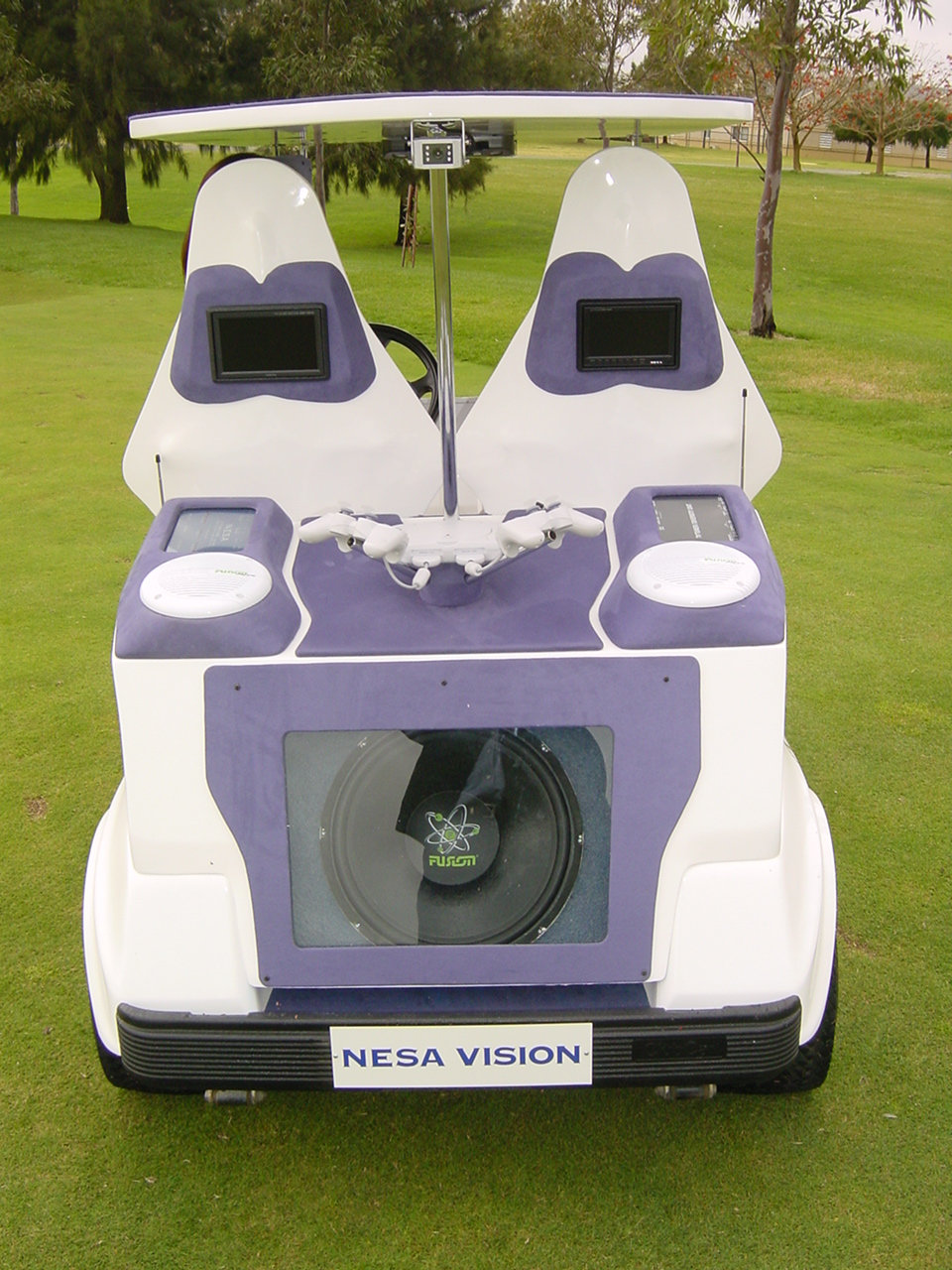 Nesa Vision Golf Cart