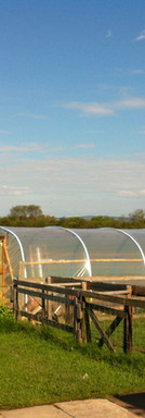 Our Zoo | Northumberland Zoo