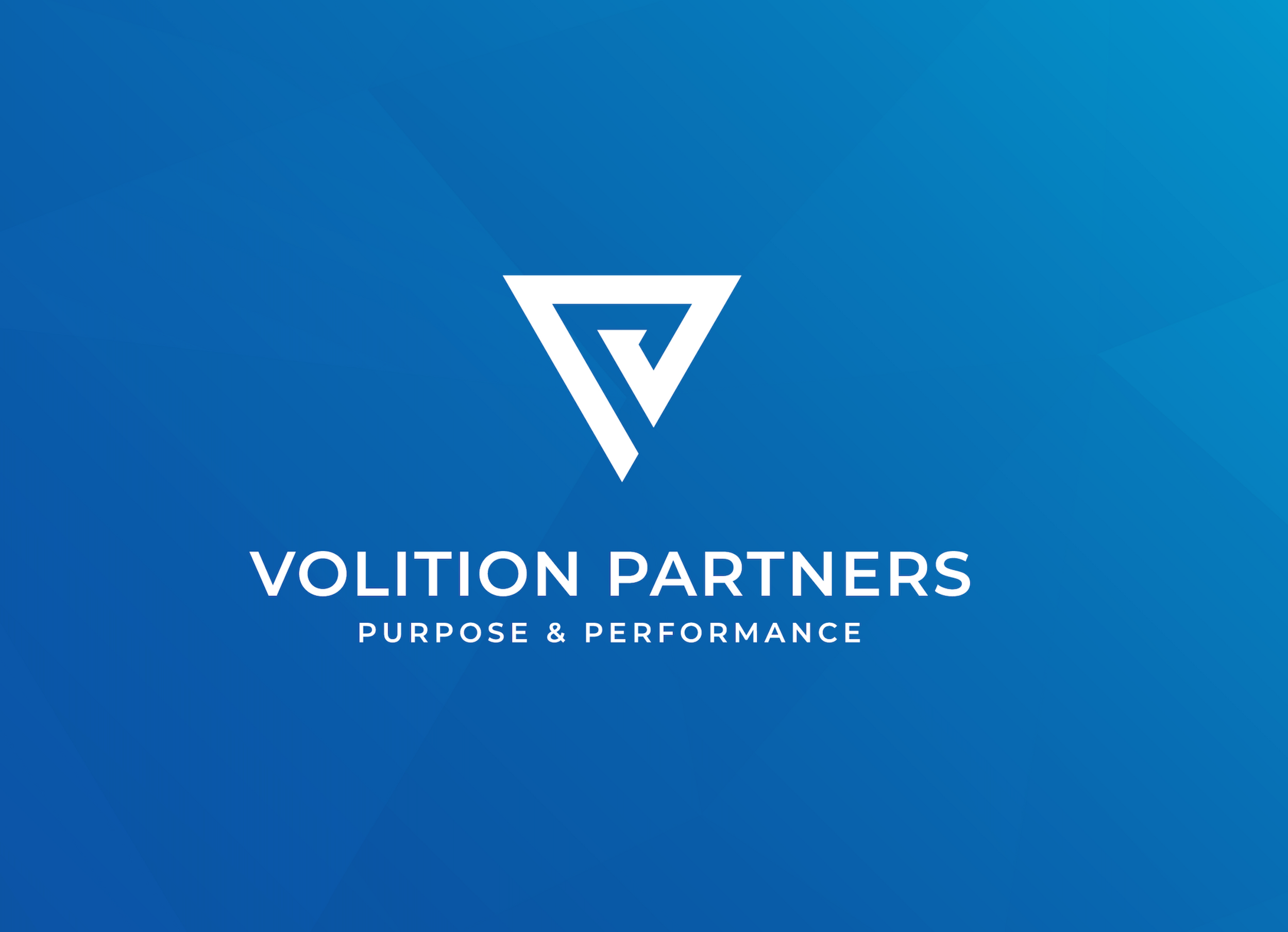 Technical and AI Lead | Volition Partners