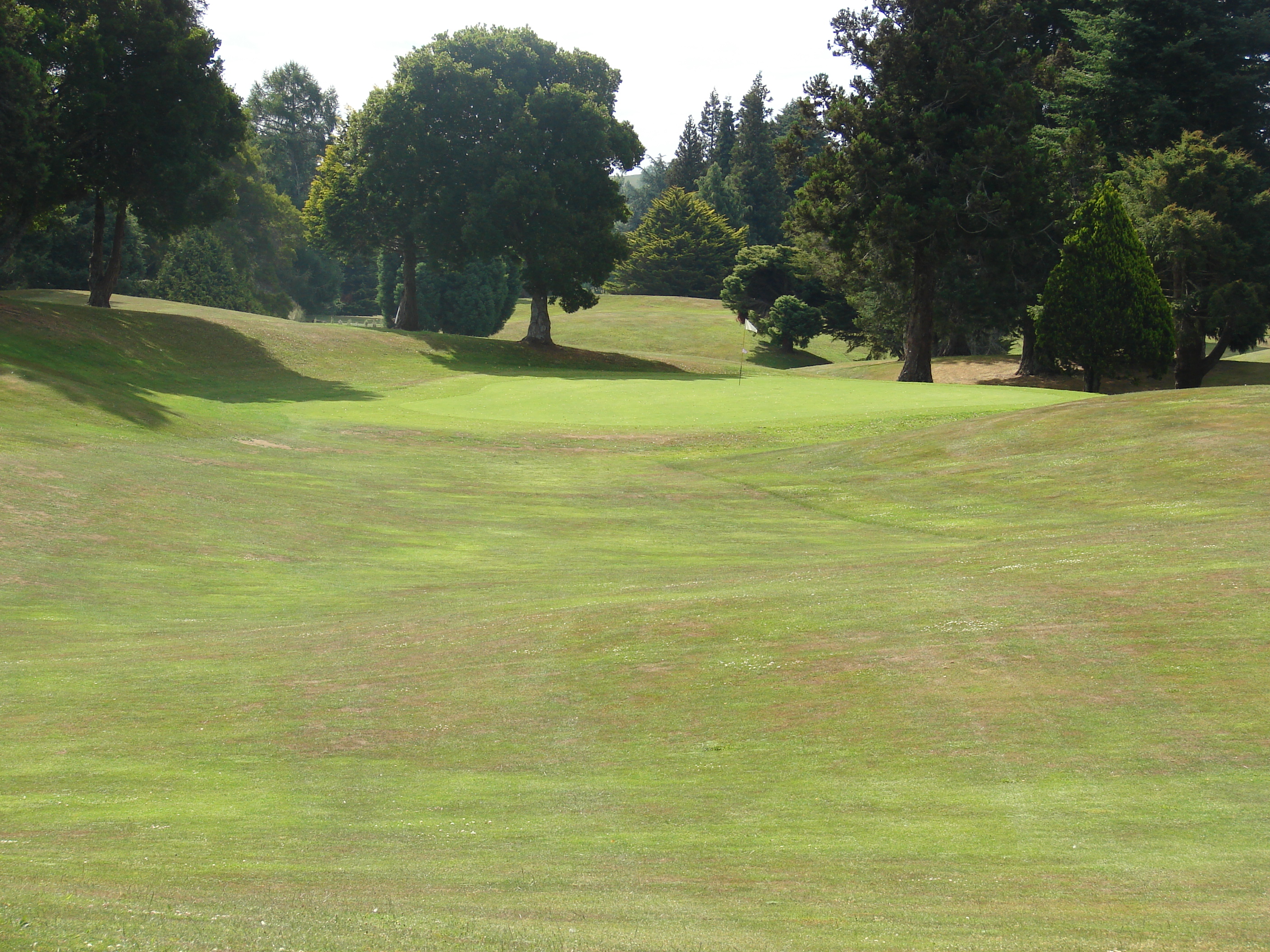 Golf Course | Putaruru Golf Club | New Zealand