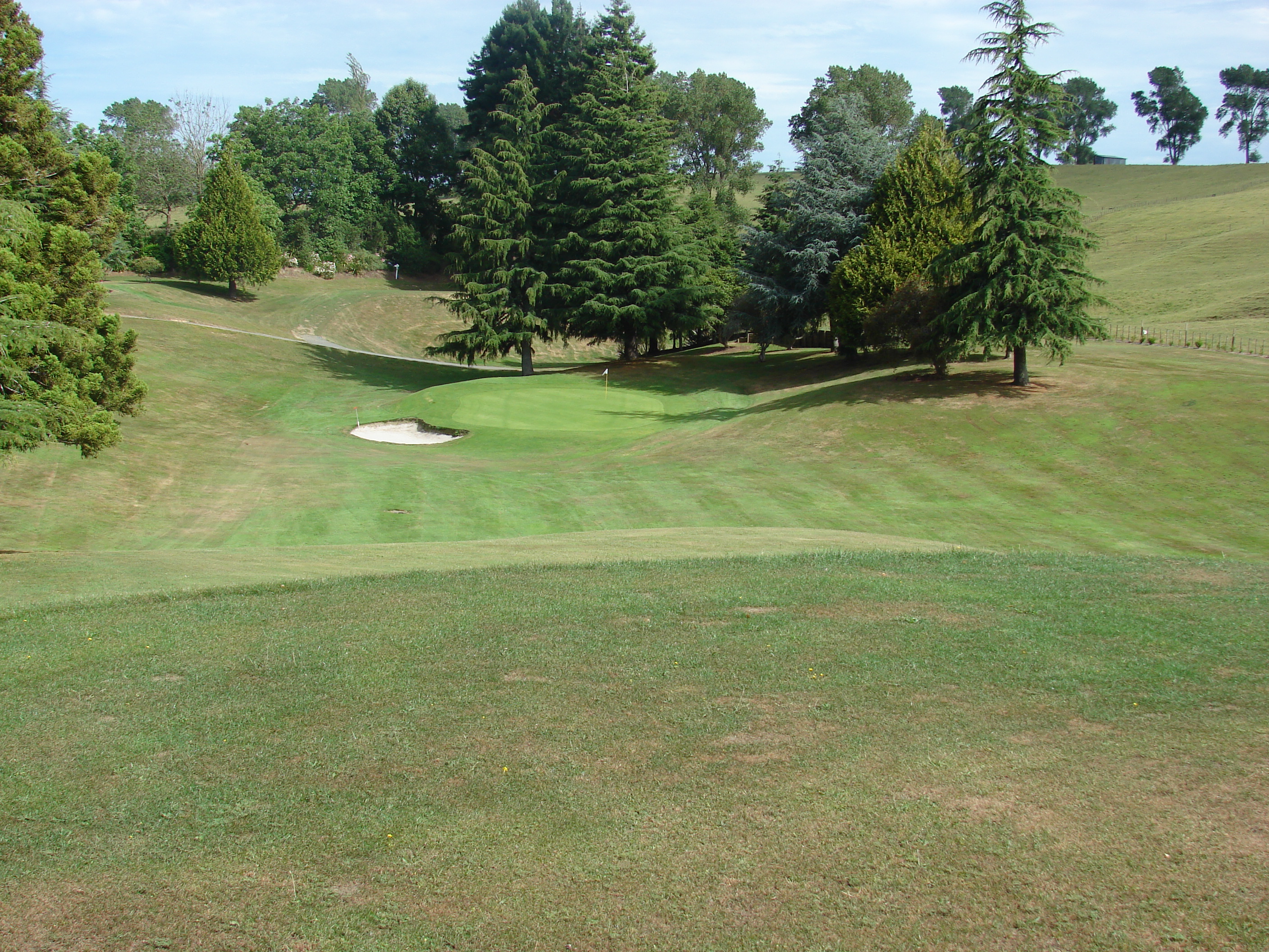 Golf Course | Putaruru Golf Club | New Zealand
