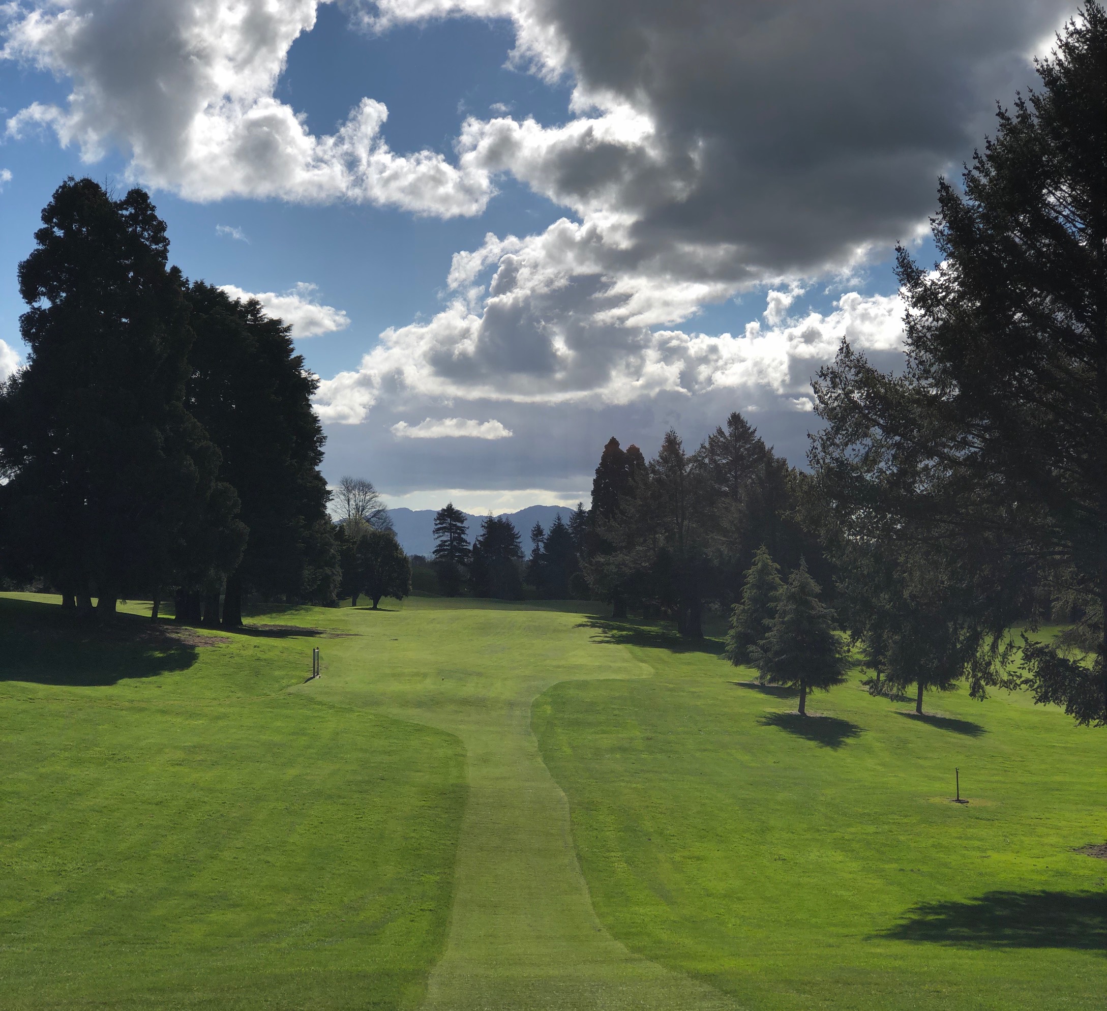 Golf Course | Putaruru Golf Club | New Zealand