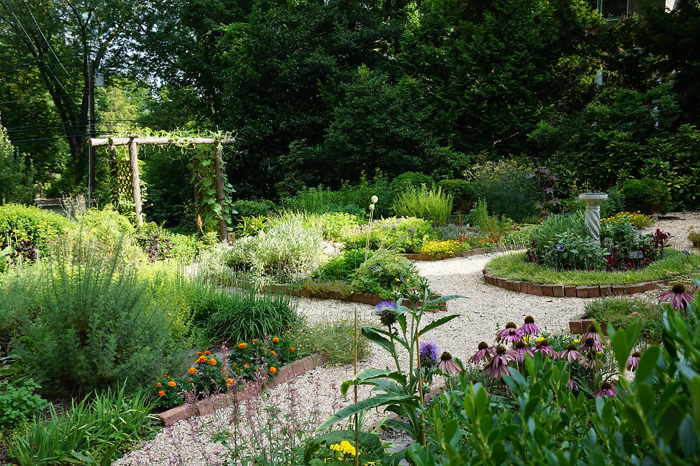 Delia Bolden students visit Durand-Hedden's Grasmere Park and Herb Garden