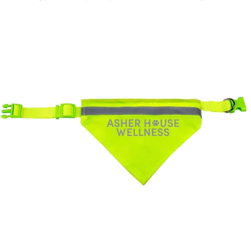 ShopReflective Dog Safety Bandana | Bright + SafetyPremium Pet & Human Wellness | Asher House ...