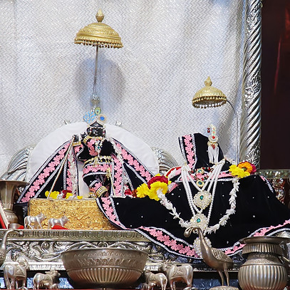 Shri Radharaman Temple | Rasmahotsav