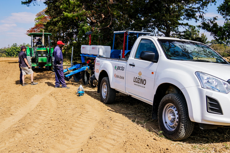 Double Row Tobacco Ridger | Lozino