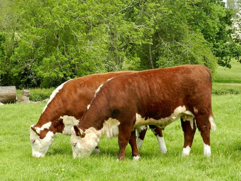 ABOUT US | small-brand-blog