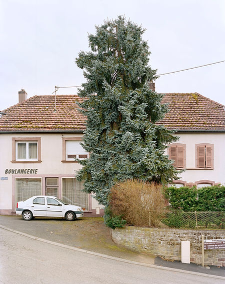 Miss France-Typologies | Monsite 1