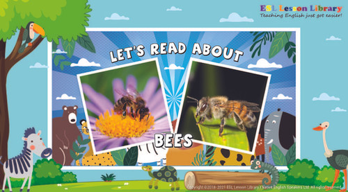 LET'S READ ABOUT BEES | ESL Lesson Library