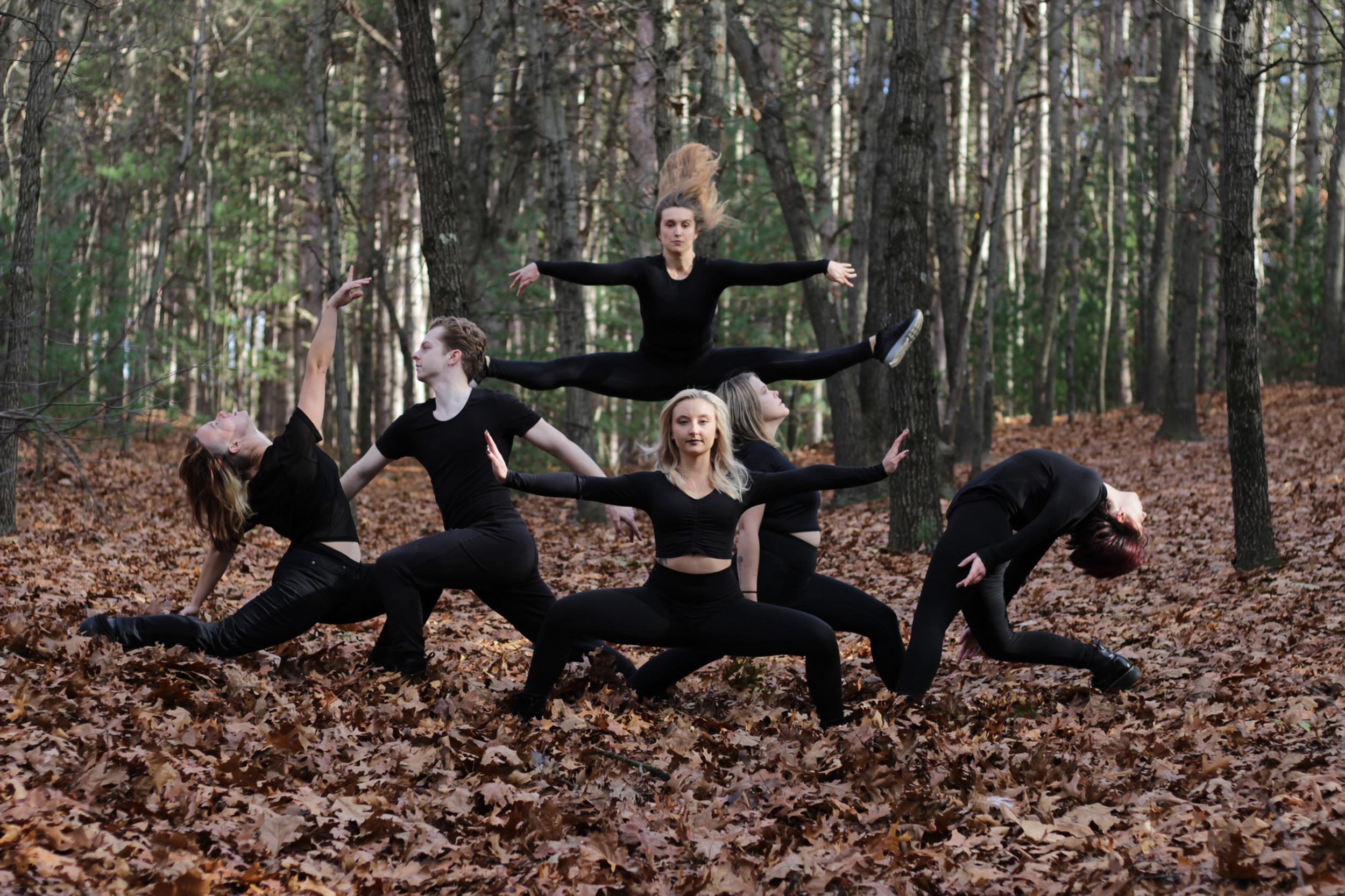 Audition Information | Trillium Ballet