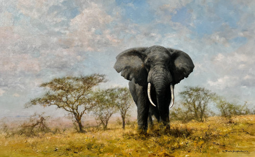 Purchase David Shepherd Paintings | Gladwell & Patterson