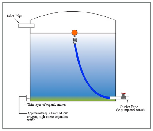 Waterboy Tank System | Crystal Clear Water
