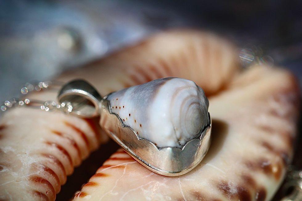 Hawaiian Cone Shell Necklace | OCEANURTH