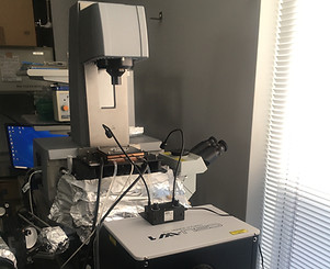 レオロジー | Food BioRheology Laboratory | 文京区