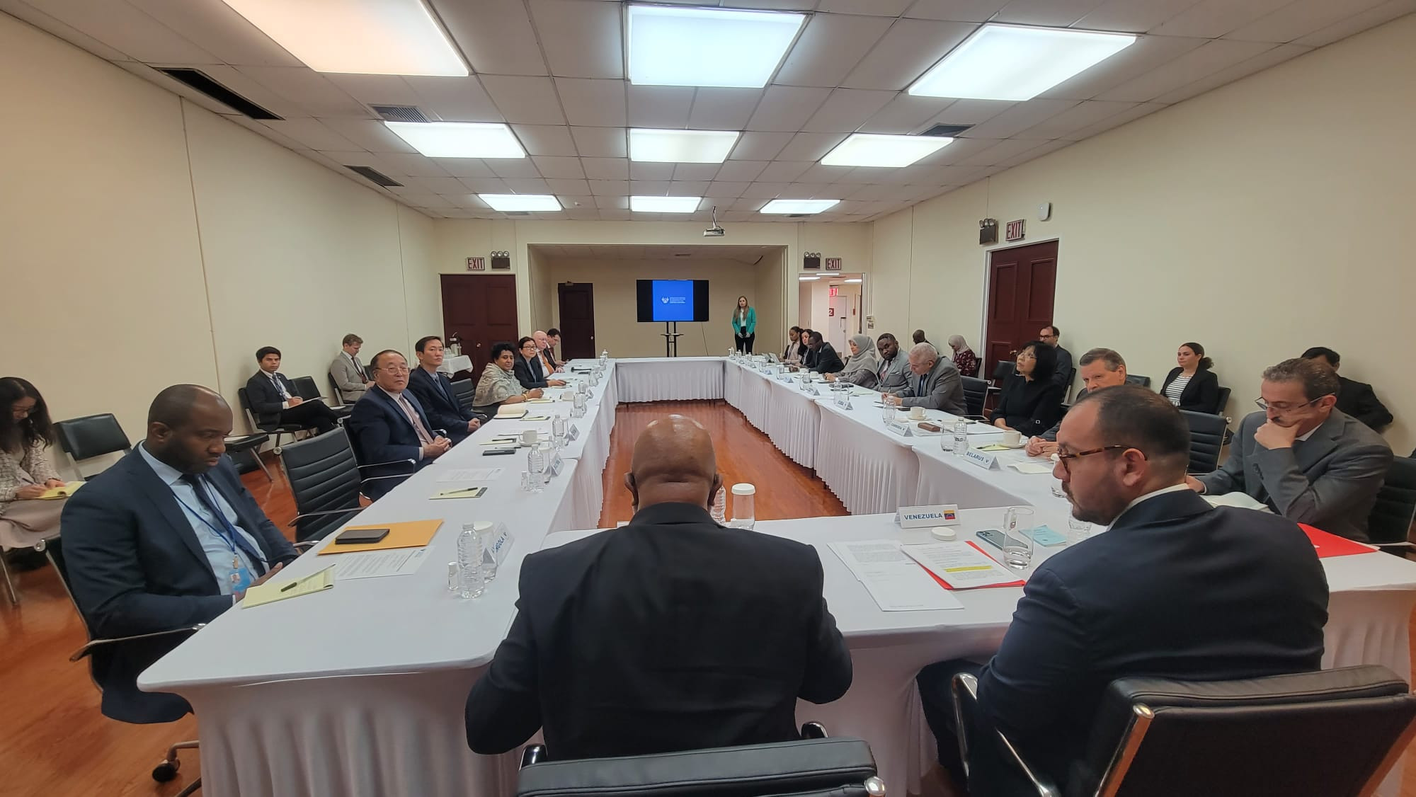 Ambassadors of the Group of Friends meet with the Permanent ...