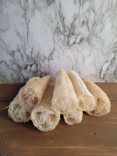 Natural Loofah | Sylvan Dell Farm