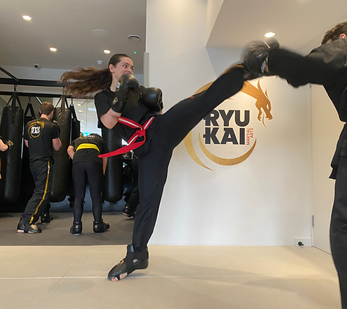 Adult Kickboxing & BJJ classes in London | Ryu Kai Martial Arts