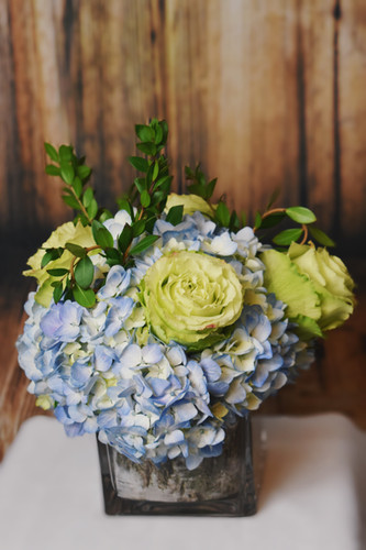 Calming Ocean Blue Hydrangeas | Q Florist