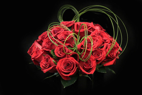 Luxurious Deluxe Red Roses | Q Florist