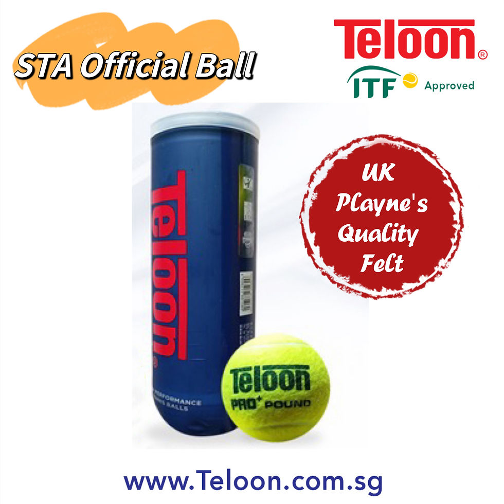 3 Balls | ITF APPROVED “PRO+ POUND” | Tournament Class | 3 Balls/Tube ...