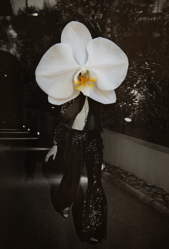 Night Walker | DINA BROADHURST