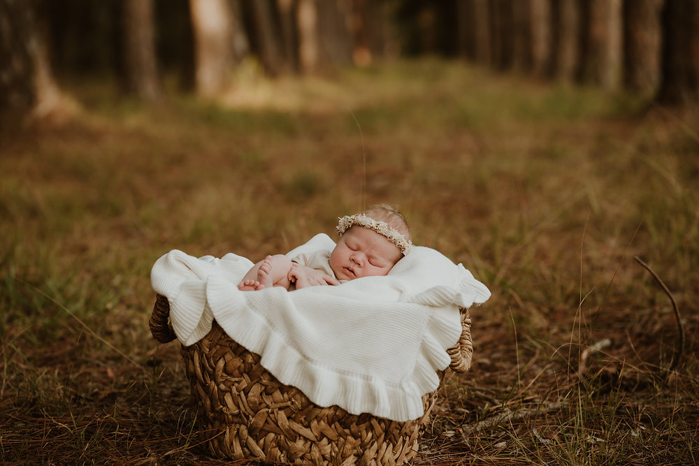 An outdoor newborn session capturing the early days of motherhood ...