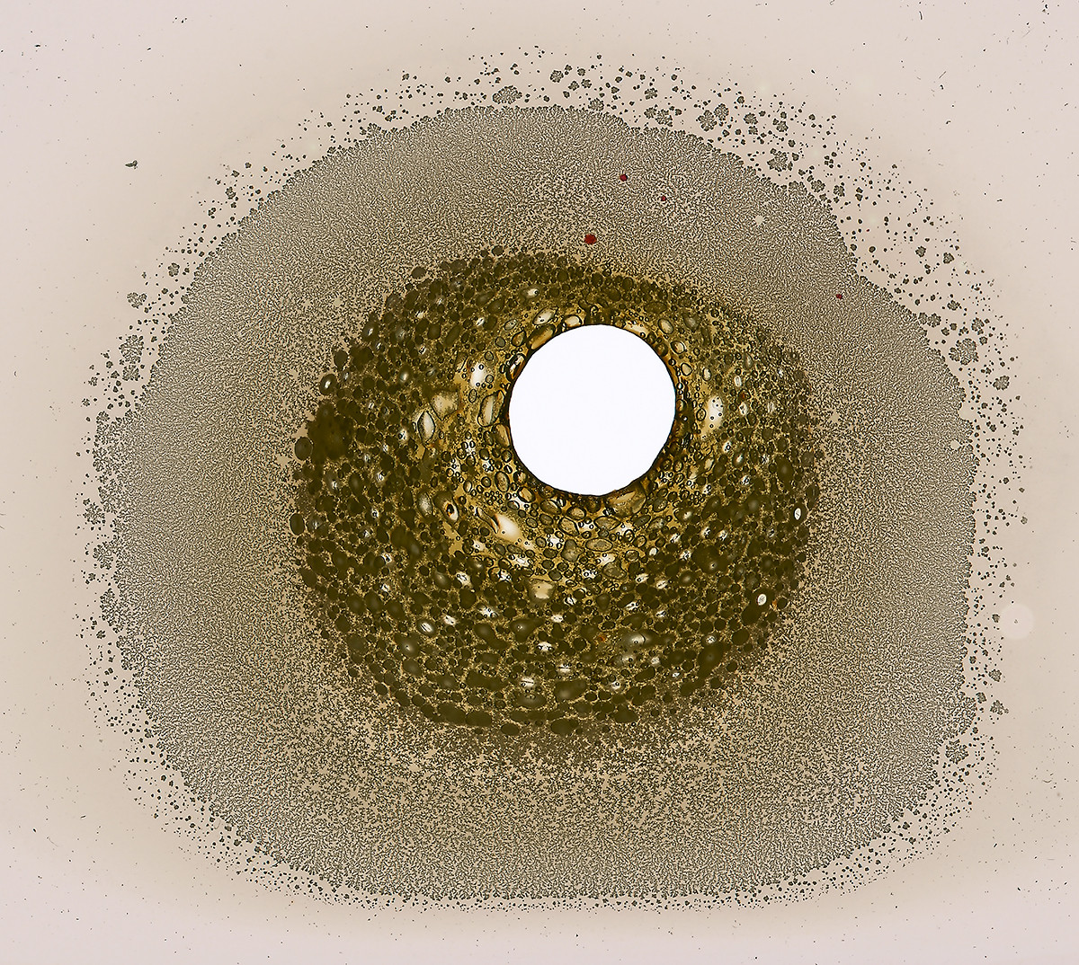 harrison higgs | super collider