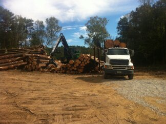 Southern Timber Resources