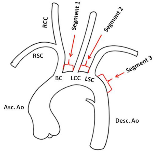 Role of Cross-Sectional Imaging in Repair of Neonatal Hypoplastic ...