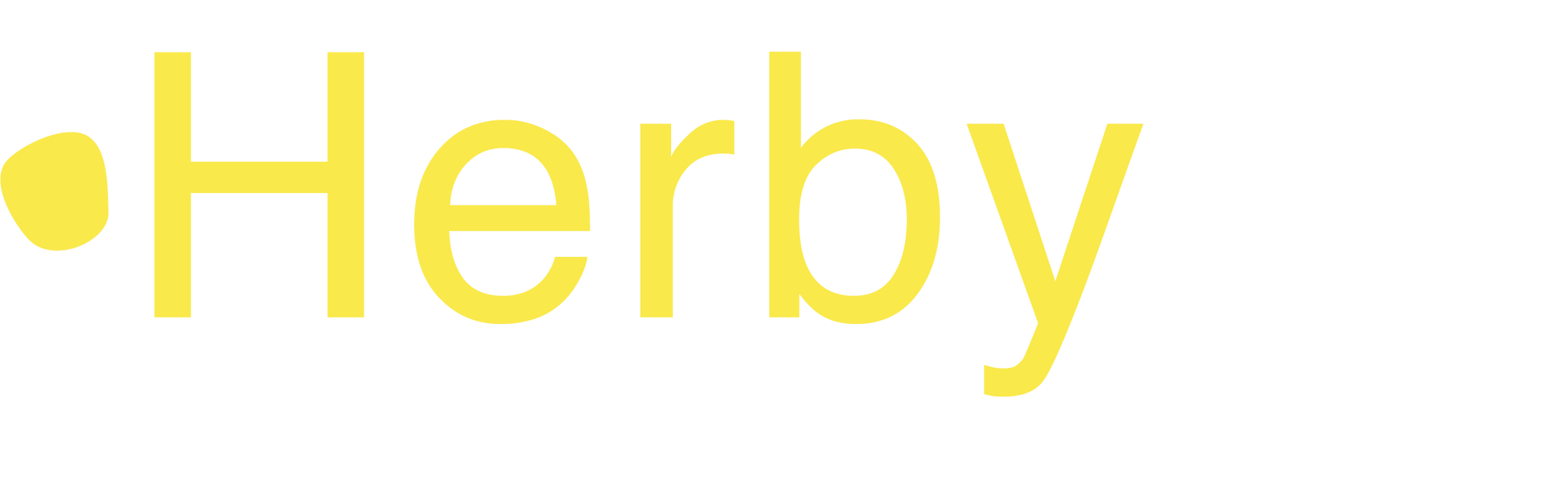 Herby Vision | Como usar
