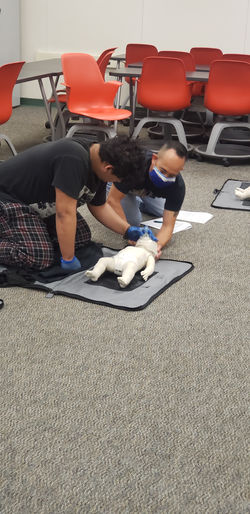 Home | Queen of Hearts CPR Training Center