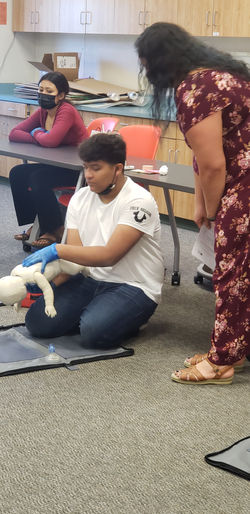 Home | Queen of Hearts CPR Training Center