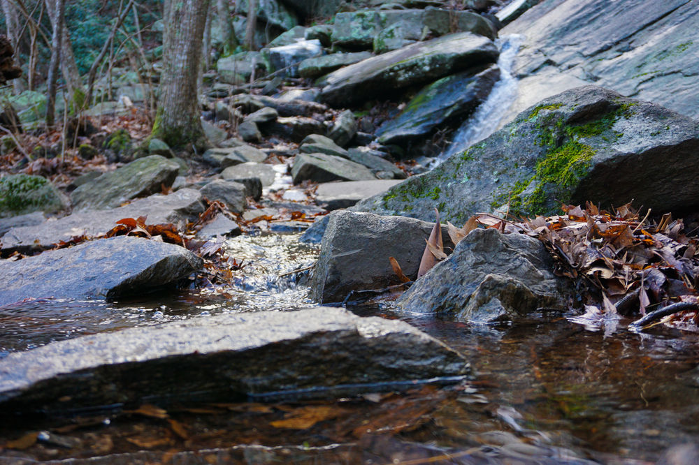 Wildcat Rock Overlook in North Carolina