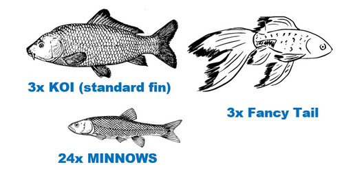 ORNAMENTAL FISH PACKAGE #1 | Smartfishaquarium